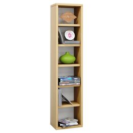 CD-Regal Elementa Buche