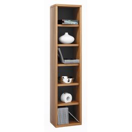CD-Regal Elementa in Nussbaumfarben