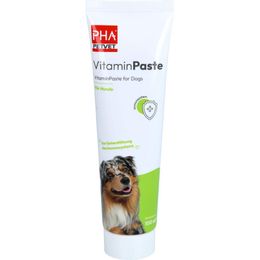 Pha VitaminPaste f.Hunde 100 ml