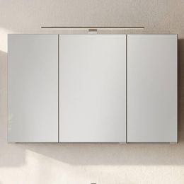 Pharao24.de Spiegelschrank Badschrank Spiegel 100 cm breit mit LED Beleuchtung