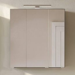 Pharao24.de Spiegelschrank Badspiegelschrank 64 cm hoch mit LED Beleuchtung