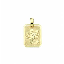 Adelia&acute;s Kettenanh&auml;nger ADELIA&acute;S "Damen & Herren 333 Gold Sternzeichen Anh&auml;nger Skorpion", gold, Schmuckanh&auml;nger, Damen, Skorpion, Gelbgold 333 Gold, Gelbgold 333, Gold, Kettenanh&auml;nger, Goldschmuck f&uuml;r Damen & Herren