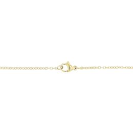 Adelia&acute;s Kette ohne Anh&auml;nger ADELIA&acute;S "Damen Halskette &ndash; Ankerkette aus Edelstahl mit Perlmutt 45 cm", gold, Halsketten, Damen, 45cm, Edelstahl, Ein Geschenk, das Freude macht