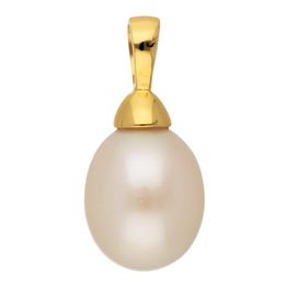 Adelia&acute;s Kettenanh&auml;nger ADELIA&acute;S "Damen Gold Schmuck 333 Gold Anh&auml;nger mit S&uuml;&szlig;wasser Zuchtperle", gold, Schmuckanh&auml;nger, Damen, Gold, Kettenanh&auml;nger, mit S&uuml;&szlig;wasser Zuchtperle Goldschmuck f&uuml;r Damen