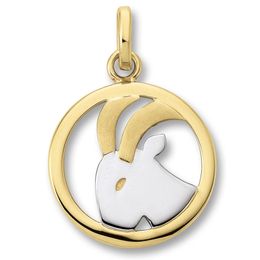Sternzeichenanh&auml;nger ONE ELEMENT "Sternzeichen Anh&auml;nger aus 333 Gelbgold", gold, Schmuckanh&auml;nger, Damen, Steinbock im Setmit Halskette, Steinbock, Gelbgold 333 Gold, Gelbgold 333, Gold, Symbol mit Herz &ndash; ein feines Geschenk f&uuml;r viele Anl&auml;sse