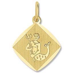 Sternzeichenanh&auml;nger ONE ELEMENT "Sternzeichen Anh&auml;nger aus 333 Gelbgold", gold, Schmuckanh&auml;nger, Damen, Wassermann im Setmit Halskette, Steinbock, Gelbgold 333 Gold, Gelbgold 333, Gold