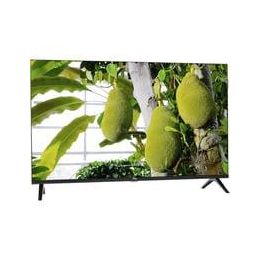TCL 32V4C, QLED-Fernseher 80 cm (32 Zoll), schwarz, WXGA, Triple Tuner, Android TV
