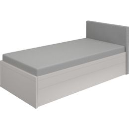 Jugendbett Paidi "FLYNN in verschiedenen Ausf&uuml;hrungen, Ausziehbett mit 2 Liegefl&auml;chen", grau (kieselgrau, steingrau), B:106cm H:92cm L:211cm, Betten, Jugendbett, G&auml;stebett, Metallgestell inkl. Lattenroste, 2-in-1 Funktionsbett