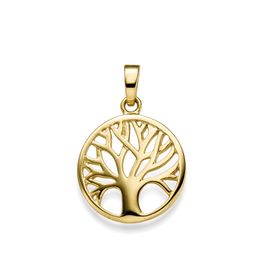 Adelia&acute;s Kettenanh&auml;nger ADELIA&acute;S "Neuheit 2026 - Anh&auml;nger aus 333 Gelbgold", gold, Schmuckanh&auml;nger, Damen, Gold, Kettenanh&auml;nger