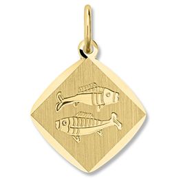 Sternzeichenanh&auml;nger ONE ELEMENT "Sternzeichen Anh&auml;nger aus 333 Gelbgold", gold, Schmuckanh&auml;nger, Damen, Fische im Setmit Halskette, Steinbock, Gelbgold 333 Gold, Gelbgold 333, Gold