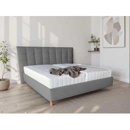 Polsterbett Collection AB "CLASSIC Scandi erh&auml;ltlich in der Breite 180x200cm", grau, B:203cm H:116cm L:215cm, Betten, Polsterbett, 3 Varianten: Rahmen, Rahmen + Rost oder Komplett-Set mit King-Matratze