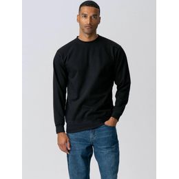 Rundhalspullover TEESHOPPEN "TEESHOPPEN Pullover Sweatshirt", Herren, Gr. M, schwarz, Obermaterial: 65% Baumwolle, 35% Polyester, Pullover Rundhalspullover