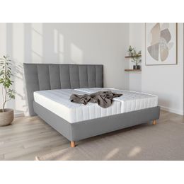 Polsterbett Collection AB "CLASSIC Scandi erh&auml;ltlich in der Breite 180x200cm", grau, B:203cm H:116cm L:215cm, Betten, Polsterbett, 3 Varianten: Rahmen, Rahmen + Rost oder Komplett-Set mit King-Matratze