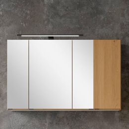 Pharao24.de Badezimmer Spiegelschrank Badschrank Spiegel f&uuml;r die Wandmontage mit Dreht&uuml;ren