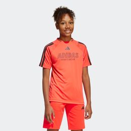 T-Shirt adidas Sportswear "HOUSE OF TIRO KIDS", M&auml;dchen, Gr. 176, rot (lucid rot, schwarz), Obermaterial: 100% Polyester, Rundhals, Shirts T-Shirt, sportlicher Stil, f&uuml;r Kinder und Teens, mit Rundhalsausschnitt