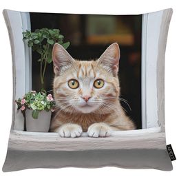 Dekokissen Apelt "Mimi", beige, grau, bedruckt, B:46cm H:0,5cm L:46cm, Baumwolle, Polyester, Dekokissen_Sitzkissen_Kissenh&uuml;llen, Lieblingskatze
