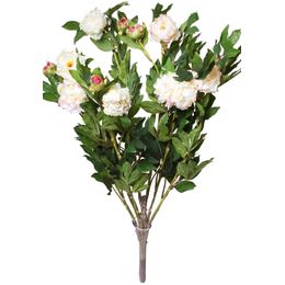 Kunstblume BOTANIC-HAUS "Pfingstrosenbusch", beige (creme, pink), B:75cm H:115cm T:75cm &Oslash;:75cm, Kunststoff, Kunstpflanzen