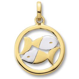Sternzeichenanh&auml;nger ONE ELEMENT "Sternzeichen Anh&auml;nger aus 333 Gelbgold", gold, Schmuckanh&auml;nger, Damen, Fische, Steinbock, Gelbgold 333 Gold, Gelbgold 333, Gold, Symbol mit Herz &ndash; ein feines Geschenk f&uuml;r viele Anl&auml;sse