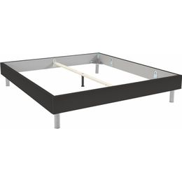Bett wimex "Easy, gro&szlig;e Auswahl an Gr&ouml;&szlig;en und Farben, auch in Komforth&ouml;he", grau (graphit, alufarben), H:46cm L:210cm, Betten, Bett, ohne Kopfteil, ideal unter Dachschr&auml;gen oder Fenster
