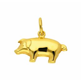 Adelia&acute;s Kettenanh&auml;nger ADELIA&acute;S "Anh&auml;nger Schwein 333 Gold ( 8K ) &ndash; Goldanh&auml;nger Schwein", gold, Schmuckanh&auml;nger, M&auml;dchen, Gold, Kettenanh&auml;nger, Goldanh&auml;nger Schwein