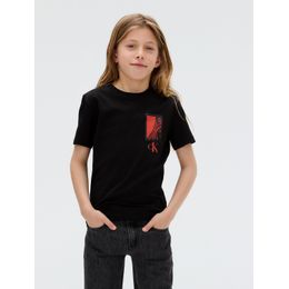 T-Shirt Calvin Klein Jeans "SEASONAL ENTRY PRICE LOGO", Jungen, Gr. 12 (152), schwarz (ck schwarz), Single Jersey, Obermaterial: 100% Baumwolle, unifarben, regular fit h&uuml;ftlang, Rundhals, Shirts T-Shirt, f&uuml;r Kinder bis 16 Jahre, mit Brustdruck