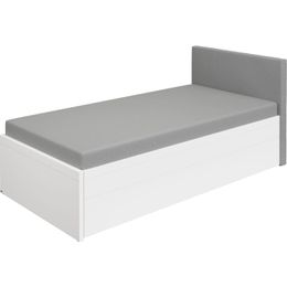Jugendbett Paidi "FLYNN in verschiedenen Ausf&uuml;hrungen, Ausziehbett mit 2 Liegefl&auml;chen", wei&szlig; (kreidewei&szlig;, steingrau), B:106cm H:92cm L:211cm, Betten, Jugendbett, G&auml;stebett, Metallgestell inkl. Lattenroste, 2-in-1 Funktionsbett