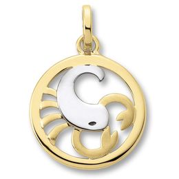 Sternzeichenanh&auml;nger ONE ELEMENT "Sternzeichen Anh&auml;nger aus 333 Gelbgold", gold, Schmuckanh&auml;nger, Damen, Skorpion, Steinbock, Gelbgold 333 Gold, Gelbgold 333, Gold, Symbol mit Herz &ndash; ein feines Geschenk f&uuml;r viele Anl&auml;sse