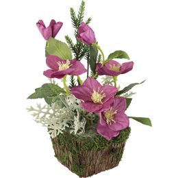 Winterliche Kunstpflanze I.GE.A. "Gesteck mit Christrosen im Pflanztopf, Weihnachtsdeko", rosa (rosa dunkel), B:24cm H:25cm T:16cm, Kunststoff, Polyester, Kunstpflanzen, Kunstblumen-Arrangement, festliches Blumenensemble, Weihnachtsgesteck