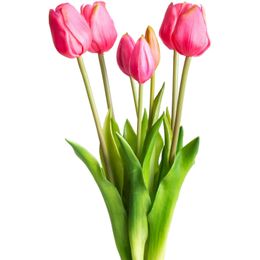 Kunstblume BOTANIC-HAUS "Tulpenb&uuml;ndel", gr&uuml;n, B:20cm H:47cm T:20cm &Oslash;:20cm, Kunststoff, Kunstpflanzen