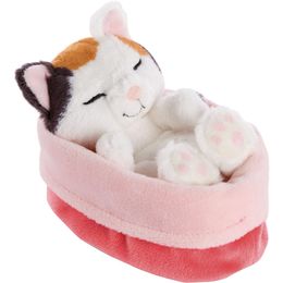 Kuscheltier Nici "Sleeping Pets, Gl&uuml;ckskatze, 12 cm", bunt, Pl&uuml;schfiguren, KinderB:9cm H:12cm L:8cm, Kuscheltier, im K&ouml;rbchen, B:9cm H:12cm L:8cm