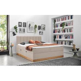 Boxbett Home Affaire "Frappelle inkl. Bettkasten, erh&auml;ltlich in der Gr&ouml;&szlig;e 180x200cm, H3", beige, B:182cm L:210cm, Stoffbezug Nordic (100% Polyester), Komplettbetten, inkl. PUR-Schaum-Topper