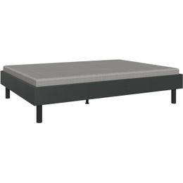 Bett wimex "Easy, gro&szlig;e Auswahl an Gr&ouml;&szlig;en und Farben, auch in Komforth&ouml;he", grau (graphit, schwarz), H:38cm L:210cm, Betten, Bett, ohne Kopfteil, ideal unter Dachschr&auml;gen oder Fenster