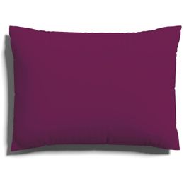 Kissenbezug Schlafgut "EASY JERSEY Kissenh&uuml;lle 100% Baumwolle, weicher Edel-Jersey, b&uuml;gelfrei", lila (lila deep), B:70cm L:90cm, Jersey, Obermaterial: 100% Baumwolle, Kissenbez&uuml;ge, Kissenbezug, mit farblich angepasstem Rei&szlig;verschluss, pflegeleicht, formstabil