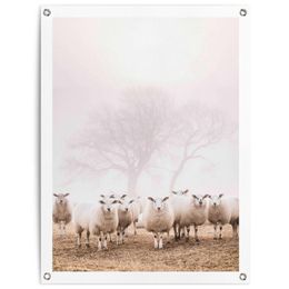 Poster Reinders "Schafe im Nebel", beige (farbe bild(er): beige), B:60cm H:80cm T:0,1cm, Leinwand, Bilder, Poster, Outdoor f&uuml;r Garten oder Balkon