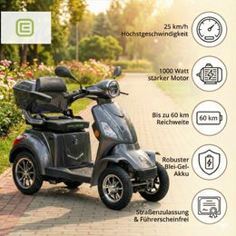 ECONELO E-Seniorenmobil Voltrixx, Lithium-Akku, 4-Rad, 1000 Watt, Grau