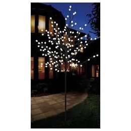 LED Baum Bonetti, schwarz, H:150cm, Leuchten, LED Baum, Weihnachtsdeko