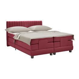 Boxspringbett Dixon Weinrot ca. 180x200cm