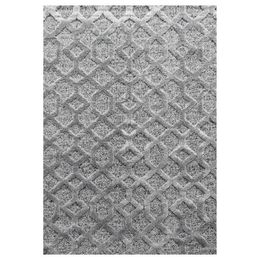 Ayyildiz Webteppich Pisa 4702 Grau ca. 240x340cm