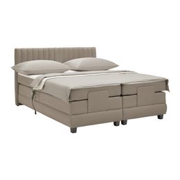 Boxspringbett Dixon Braun ca. 180x200cm