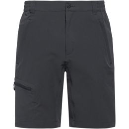 Icepeak BERWYN Funktionsshorts Herren - Gr&ouml;&szlig;e 54 - grau