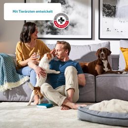 ZooRoyal Hundesnack 'Dental Sponge' 5 St&uuml;ck