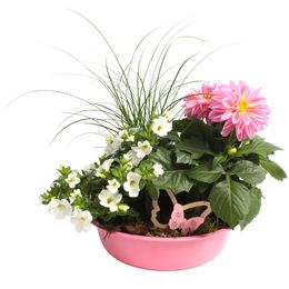 Zinkschale bepflanzt mit Sommerblumen 22 cm