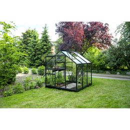 HALLS Gew&auml;chshaus 'Popular 66' 193 x 195 cm mit 3 mm Sicherheitsglas schwarz