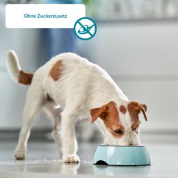 ZooRoyal Hundesnack 'Entenbrust in St&uuml;ckchen' 70 g