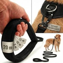 HUND IST K&Ouml;NIG &reg; Hunde Schleppleine mit Sicherheitskarabiner & gepolsterter Handschlaufe 20 m