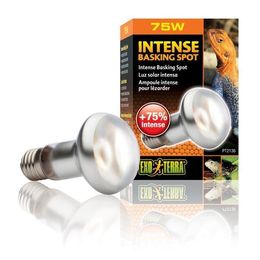EXO TERRA Intense Basking Spot Leuchtmittel 75