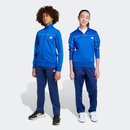 Trainingsanzug adidas Sportswear "J CP TR TS", Jungen, Gr. 164, blau (royal blau, wei&szlig;), Obermaterial: 100% Polyester, Sportanz&uuml;ge Trainingsanzug, f&uuml;r Kinder und Teens, zweiteiliges Set, mit Stehkragen