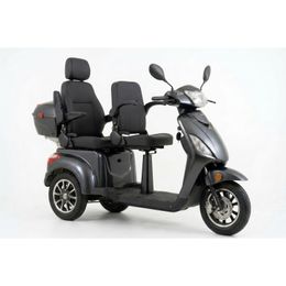 ECONELO E-Seniorenmobil Billy 2.0, Lithium-Akku, 3-Rad, 60V, 1000 Watt, gro&szlig; Sitz, Grau