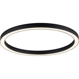 NEUHAUS PURE LED Deckenleuchte "PURE Lines Round", graphite, 1, &Oslash; 70cm H: 3,9cm, 1 Stk., Leuchten, Stufenlos dimmbar &uuml;ber Fernbedienung, CCT, LED Deckenleuchte