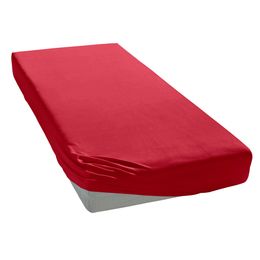 Spannbettlaken OTTO HOME "BLACKBERRY in BASIC und PREMIUM Qualit&auml;t, 100% Baumwolle", rot, B:180cm L:200cm, Jersey (110 g/m&sup2;), Obermaterial: 100% Baumwolle, Bettlaken, Spannbettlaken, f&uuml;r hohe Matratzen bis 28 cm, Bettlaken, Spannbetttuch, pflegeleicht, Topseller